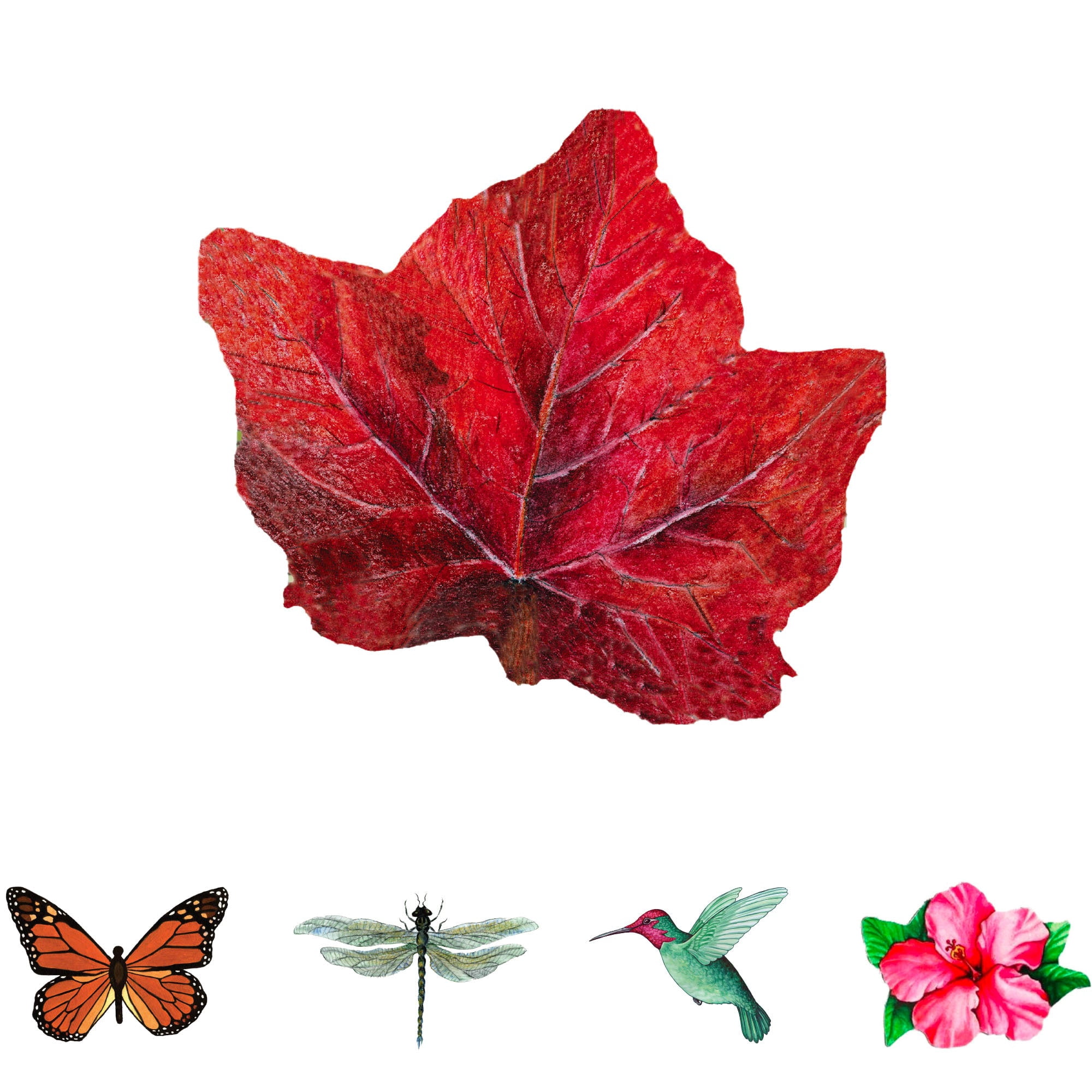 Screen Door Saver - Screen Magnets - Keep People and Pets from Running ...