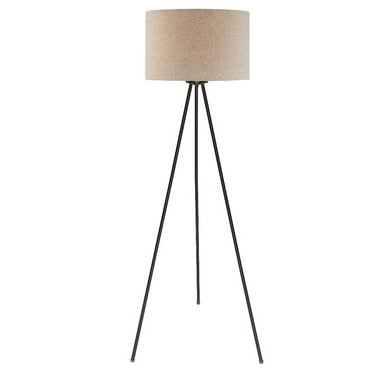 Lite Source Jared 2 Light Floor Lamp - Walmart.com
