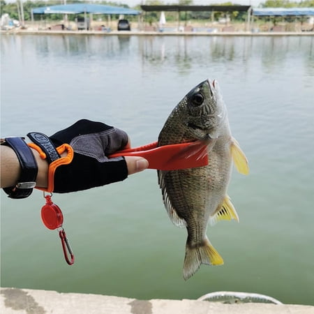 Multifunctional Fishing Fish Clip Hand Fish Clip Fish Grabber ...