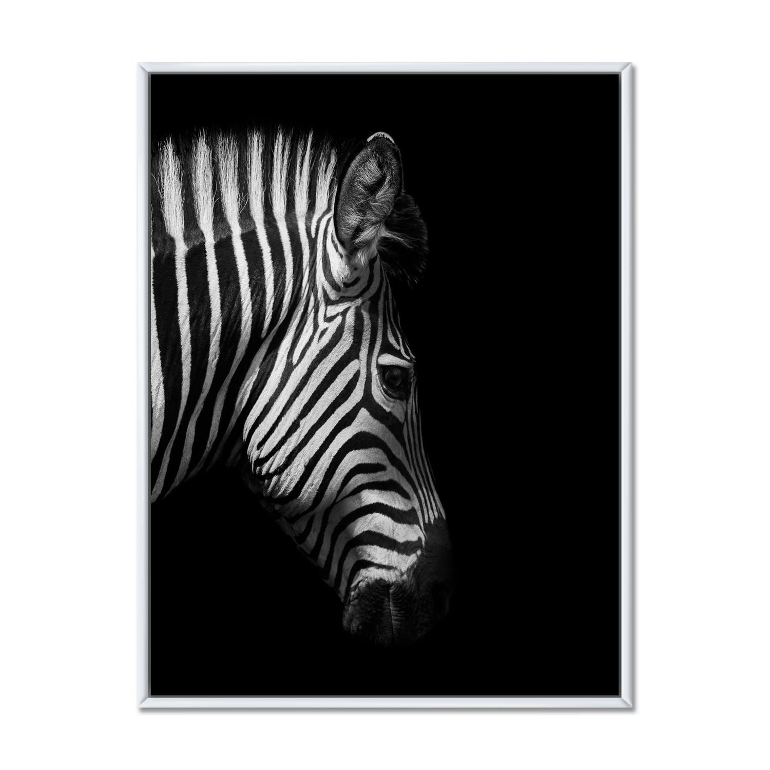 Click here for Designart Monochrome Portrait Of Zebra Head Float... prices