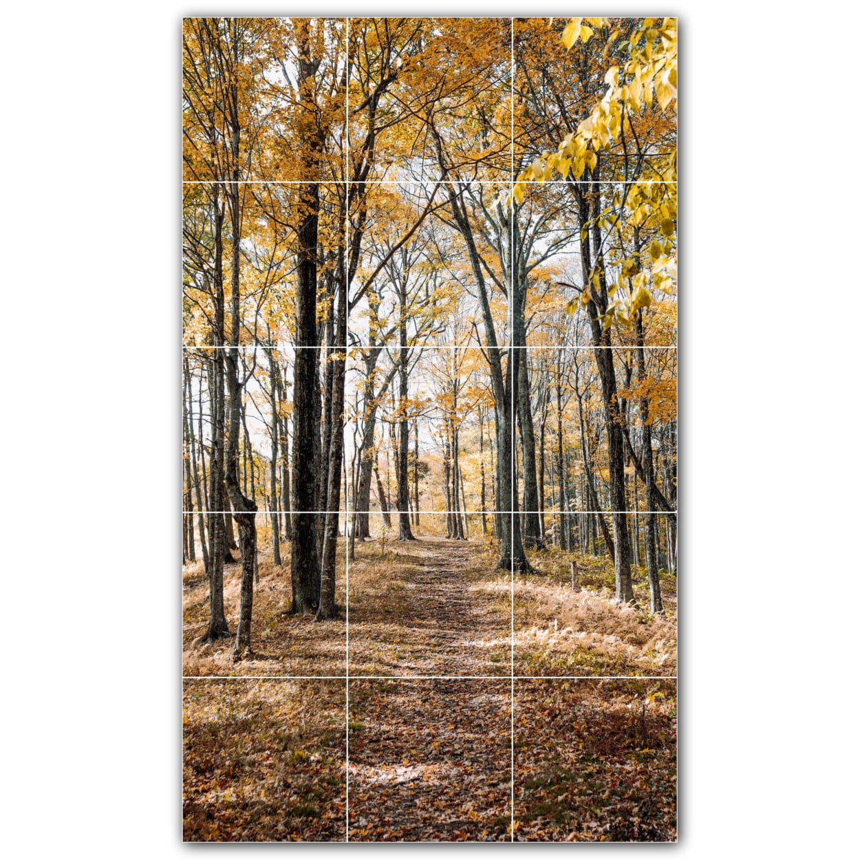 Picture-Tiles.com: Trees Ceramic Tile Wall Mural WAL501004-35M. 18"W x ...