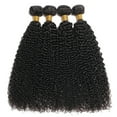 Malaysian Virgin Hair Kinky Curly Bundles with 4×4 Closure Human Hair ...