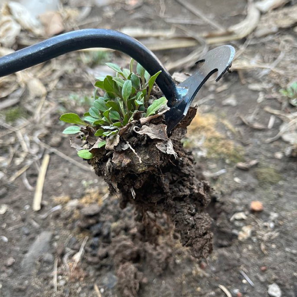 Manganese Steel Sturdy Weeder Four Tooth Design Weeding Tool for ...