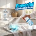 Borikise Non-Ionic Laundry Emulsifier Spray Multi-Purpose Clothing ...