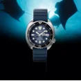 Seiko Prospex Divers Save The Ocean Automatic Blue Dial Men's Watch SRPF77 - Walmart.com
