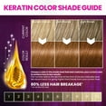 Schwarzkopf Keratin Color Permanent Hair Color Cream, 6.33 Light Golden ...