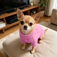 Cozy Solid Color Sweater For Small - Warm Knit Autumn Winter ...