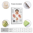 Anatomical Poster Rhinitis And Sinusitis Posters Wall Art Picture ...