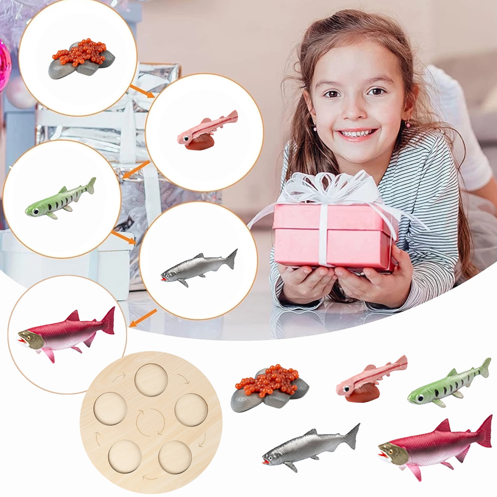 Miraculous Toys Fish Life Cycle Of A Growth Stage Model Educational miraculous-toys-fish-life-cycle-of-a-growth-stage-model-educational