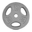 CAP Barbell Standard Cast Iron Weightlifting Plate, 10 lbs, Single ...