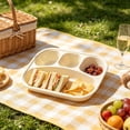Plastic Divided Plate - 5 Compartment Portion Control Plates for ...
