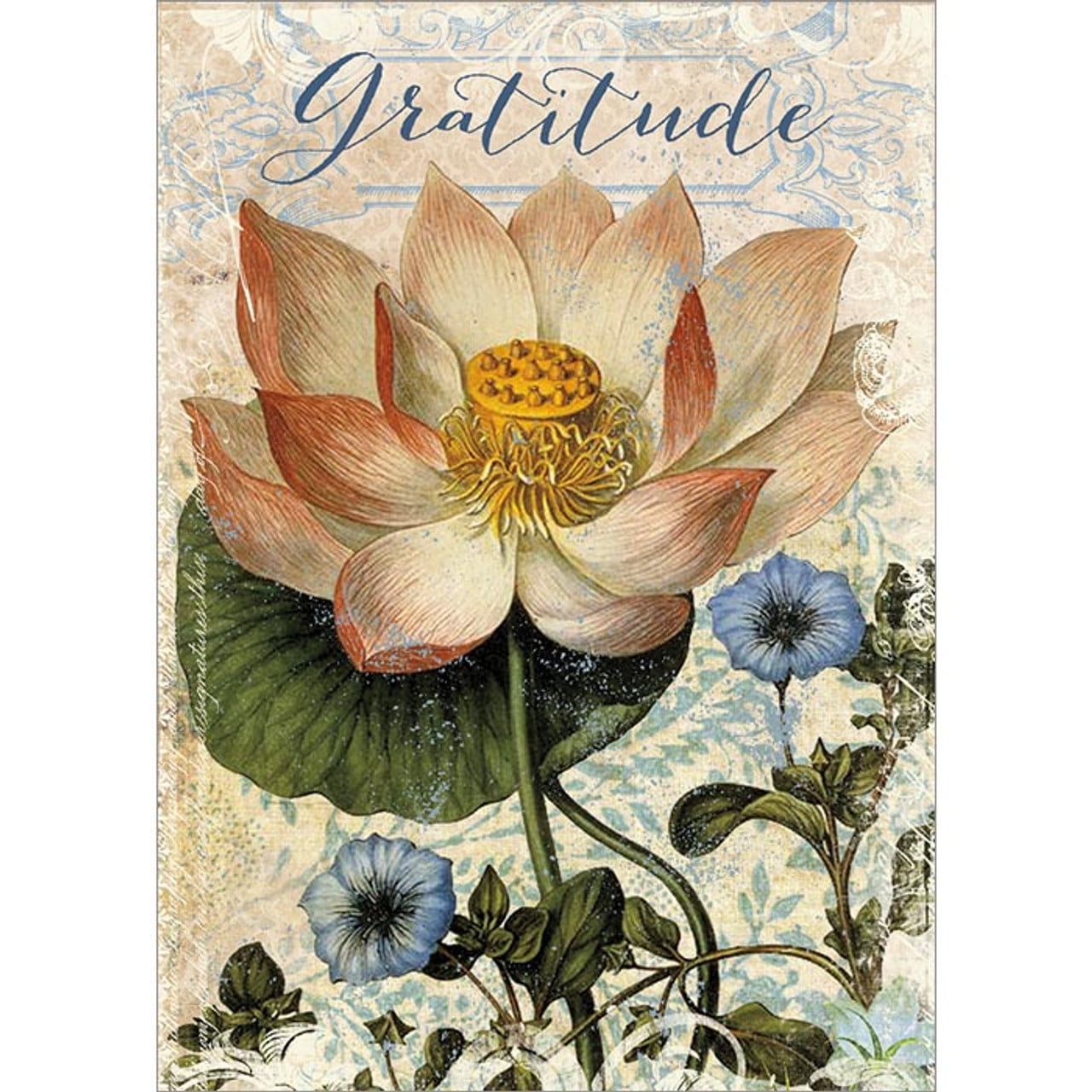 Gratitude Thank You Greeting Cards (6 Pack) - Walmart.com