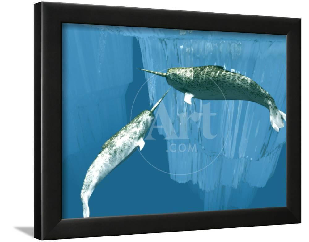 Narwhals, Animals Scenic Framed Art Print Wall Art by Christian Darkin Sold by Art.Com - Walmart.com