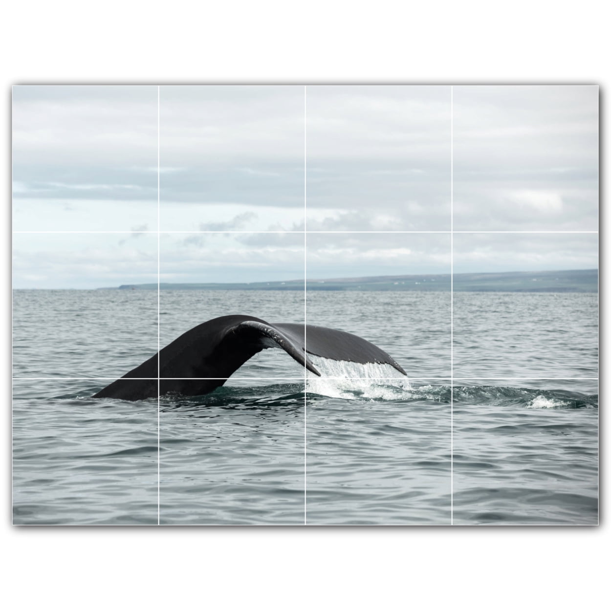 Picture-Tiles.com: Whale Ceramic Tile Wall Mural WAL501191-43M. 24"W x ...