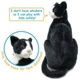 Tate the Tuxedo Cat | 14 Inch Realistic Plush Kitten by Tiger Tale Toys ...