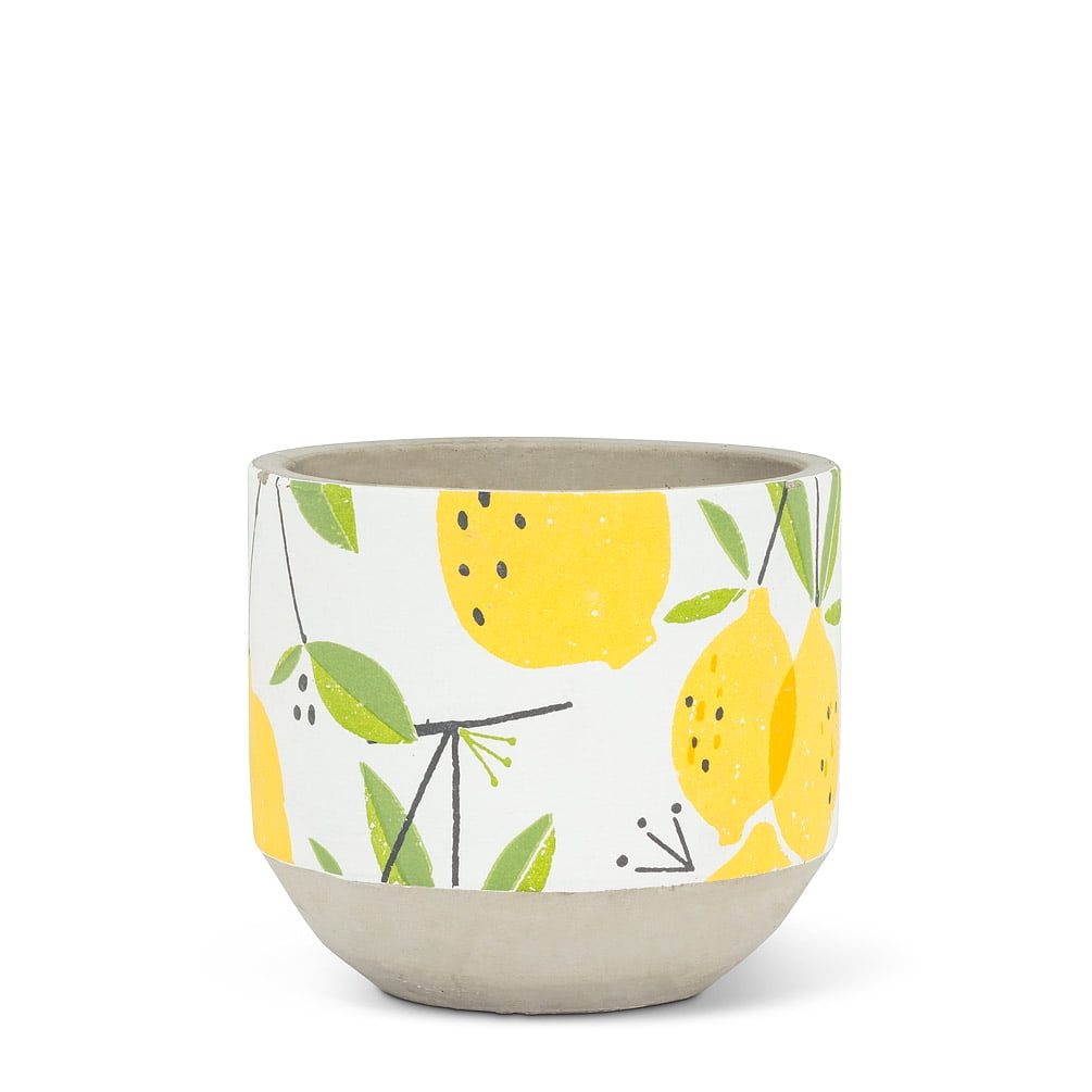 Set of 2 Small Lemon Planter - Walmart.com