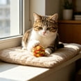 Knitted Yarn Ball Cat Toy 1 Pack, Jingle Bell Inside, Interactive Play ...
