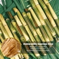 Biodegradable Cocktail Straws Compostable Stirrers Made from Sugarcane ...