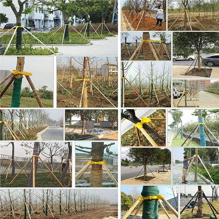 Tree Fixed Stakes Arbor Support Frame Support Frame Support Frame ...