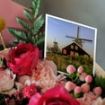 3drose, Windmills. North Holland. Zaanseschans. Kalverpolderpad ...