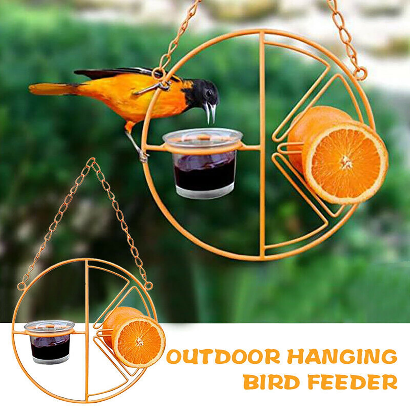 Bird Feeders For Fruit