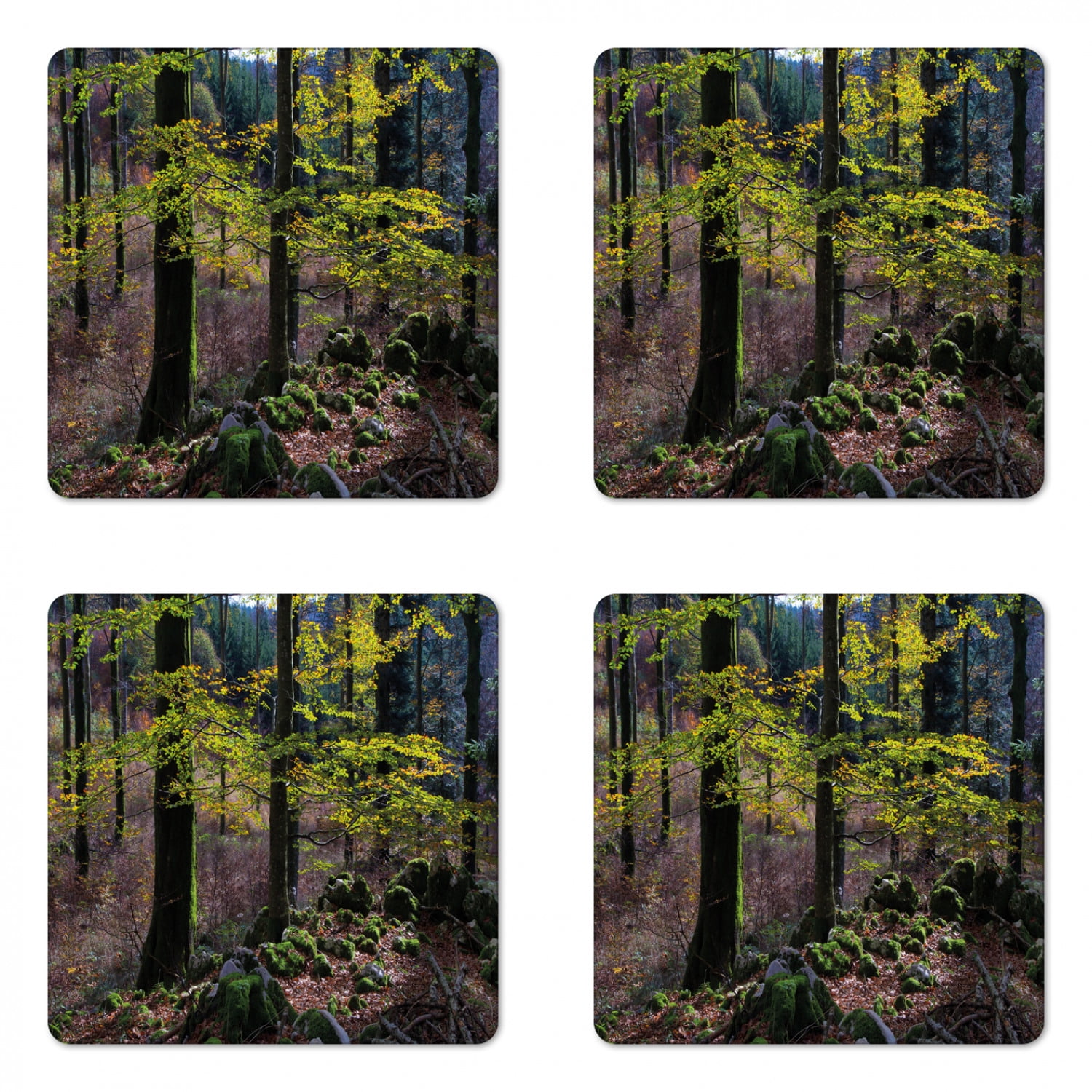 Forest Coaster Set of 4, Natural Scenery Trees Autumn Season in Woods ...