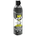 Raid Max Foaming Wasp & Hornet Killer, Fast Coverage Foam, 16.5 oz ...