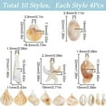 1 Box Acrylic Pendants Shell Shape Charm Mixed Color 18~37x10~30x6~19mm ...