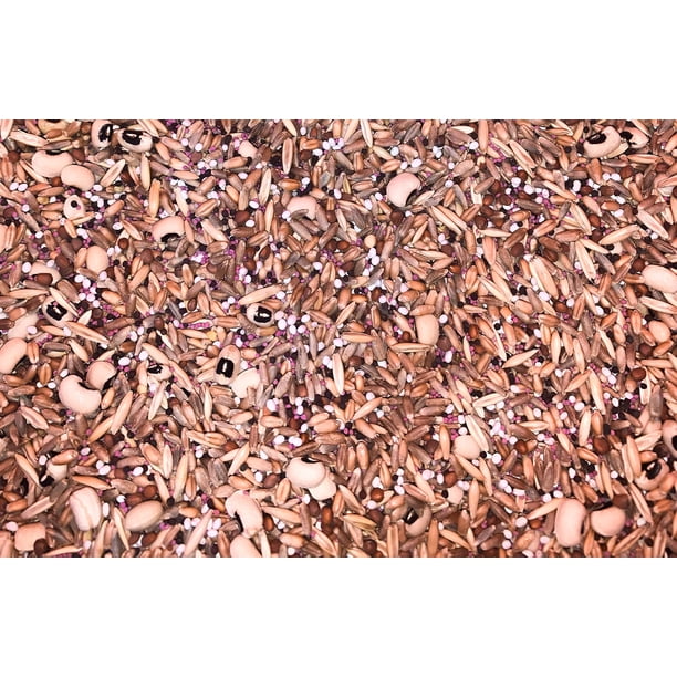 No-Till Cover Crop 10 Seed Mix - Winter Rye, White Clover, Austrian ...