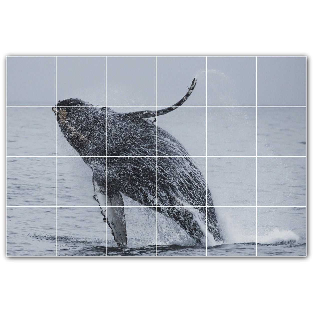 Picture-Tiles.com: Whale Ceramic Tile Wall Mural WAL501190-64L. 48"W x ...
