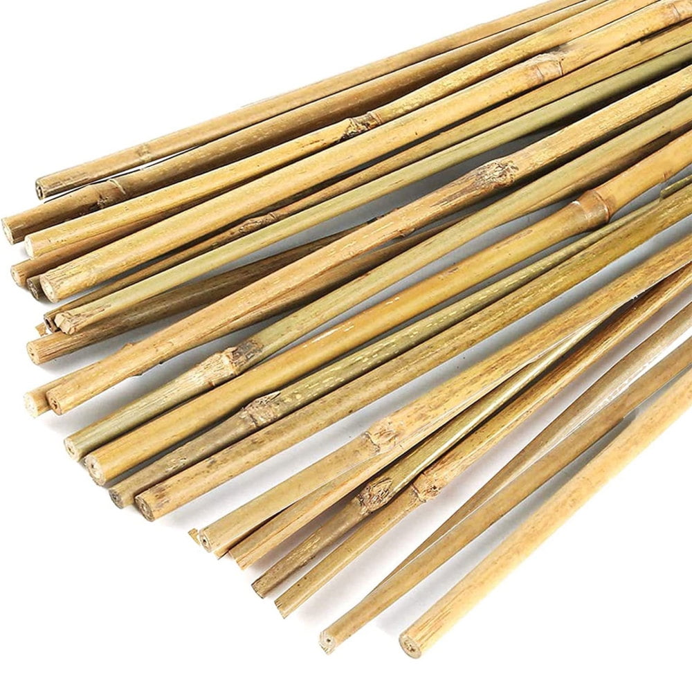 20 Pcs Plants Bamboo Support Sticks Easy Installation Plants Anti-Fall ...