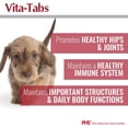 Vita-Tabs Silver, 100-Count Bottle - Walmart.com