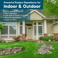 Rodent & Mouse Trap Alternative – 8 Pack, Indoor and Outdoor Repellent ...