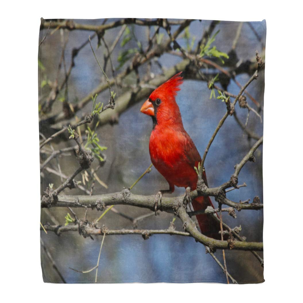 ASHLEIGH Throw Blanket Warm Cozy Print Flannel Northern Cardinal ...