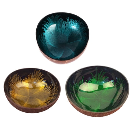 3PCS Natural Coconut Shell Storage Bowl Candy Container Nuts Holder ...