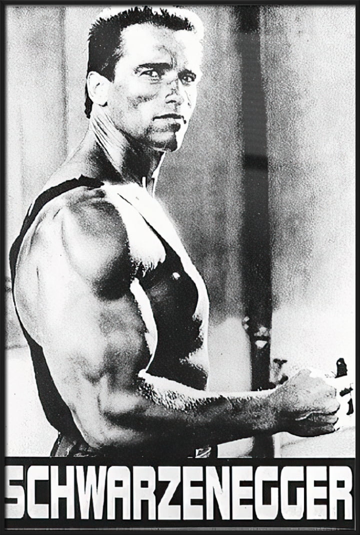 Arnold Schwarzenegger - Framed Movie / Personality Poster (Arnie With ...
