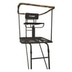 Guide Gear 20' 2-Man Double Rail Ladder Tree Stand, Climber Deer ...