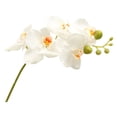 17 Inch Artificial Butterfly Orchid, Realistic Faux Phalaenopsis for ...