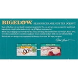 Bigelow Christmas Assortment - Hot Tea Sampler: Eggnogg'n, Ginger ...