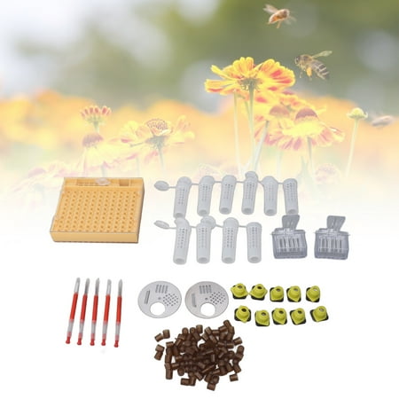 Queen Bee Rearing Box, Queen Bee Rearing Kit Healthy For Beekeeping ...