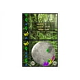 Zenses: Rainforest Edition - Nintendo DS - Walmart.com