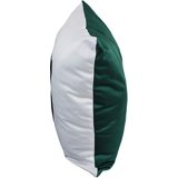Michigan State Spartans 16 inch Reversible Decorative Pillow - Walmart.com