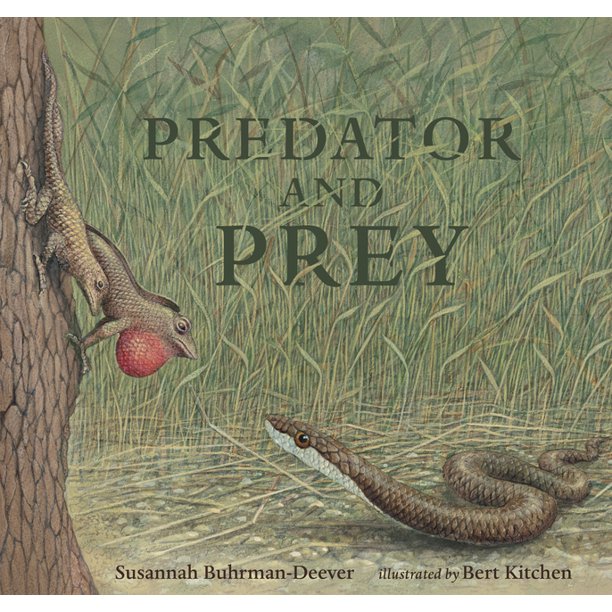 Predator 5 Prey