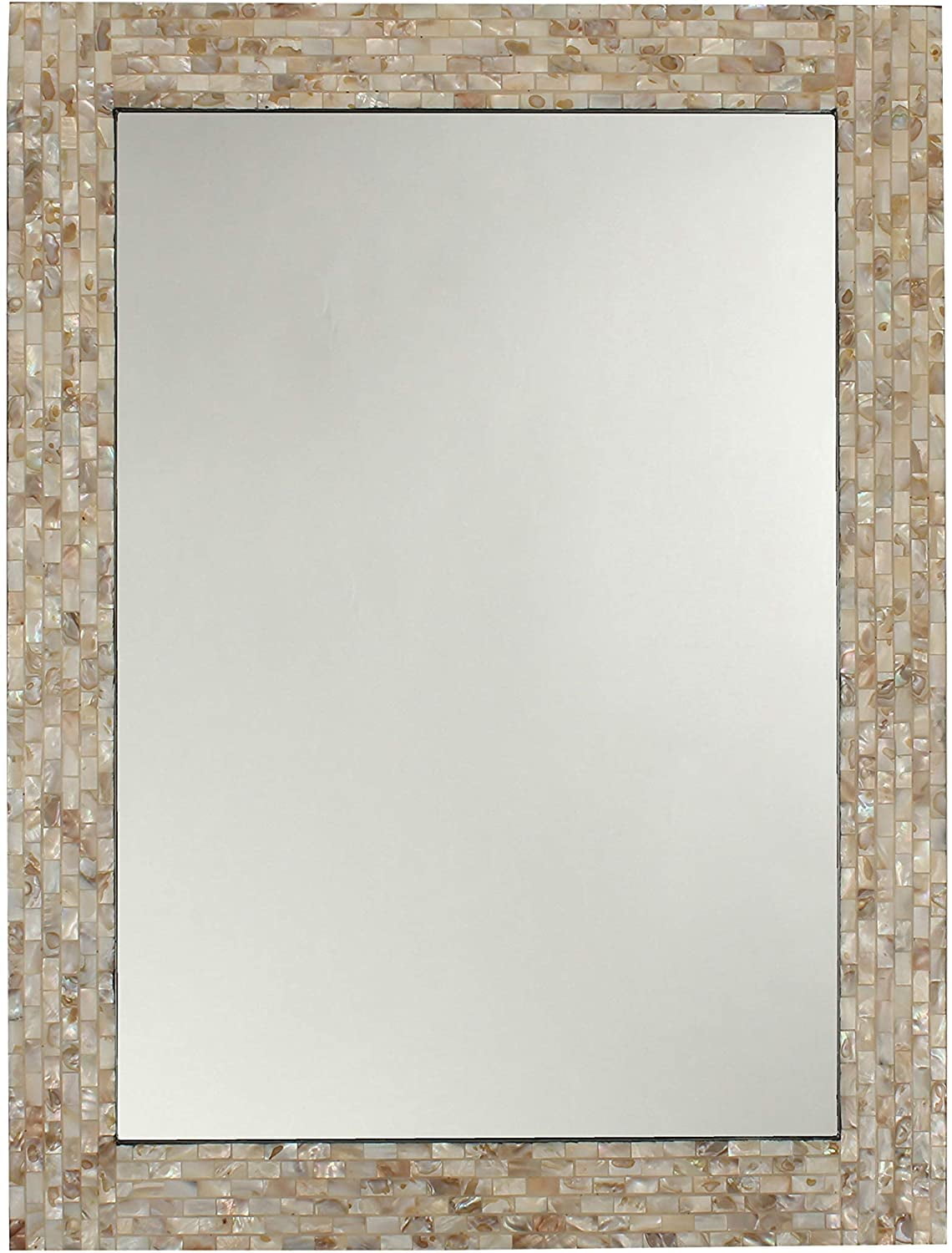 RADIANCE Goods Seashell Finish Rectangular Framed Wall Mirror 32 ...