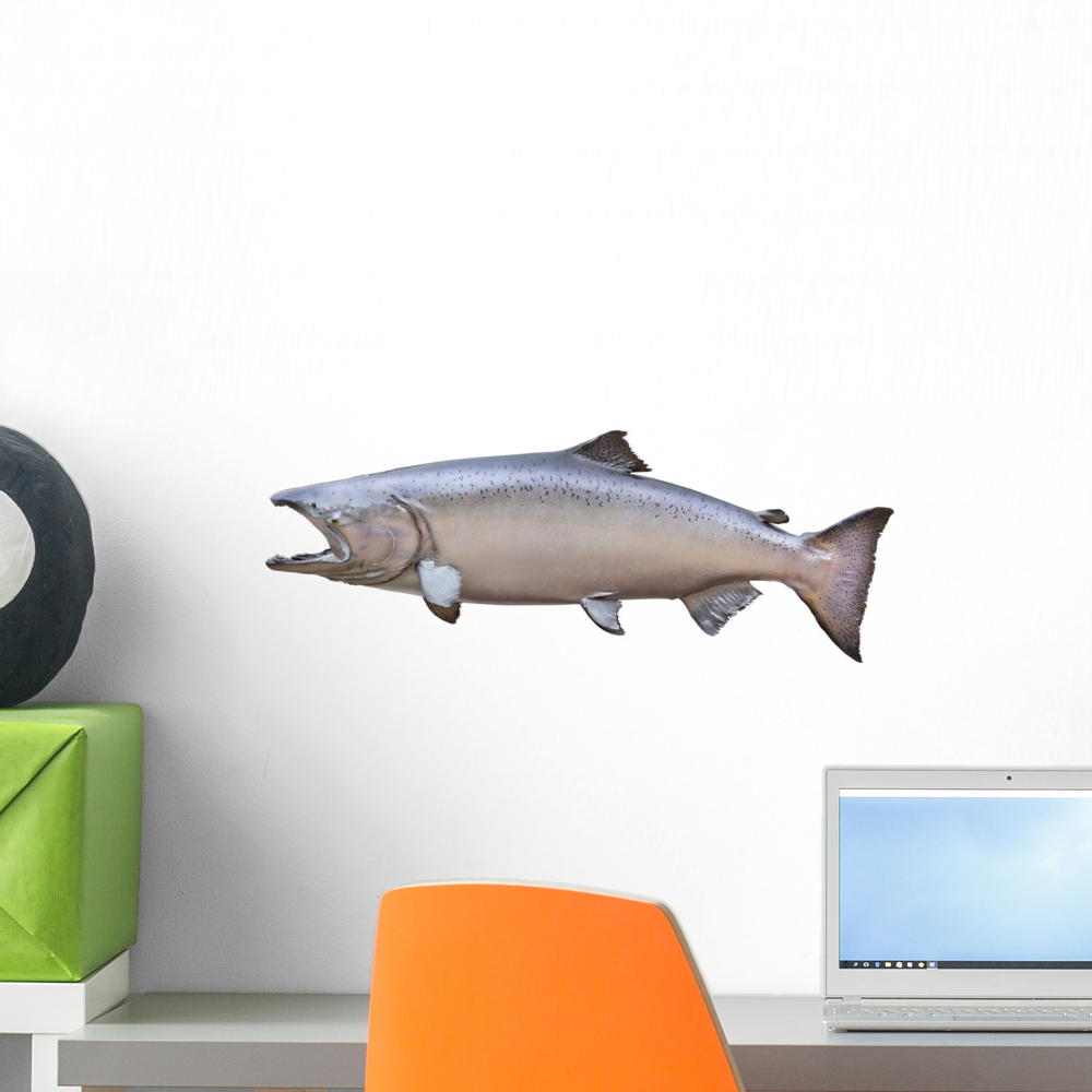 Big King or Chinook Wall Mural Decal by Wallmonkeys Vinyl Peel and ...