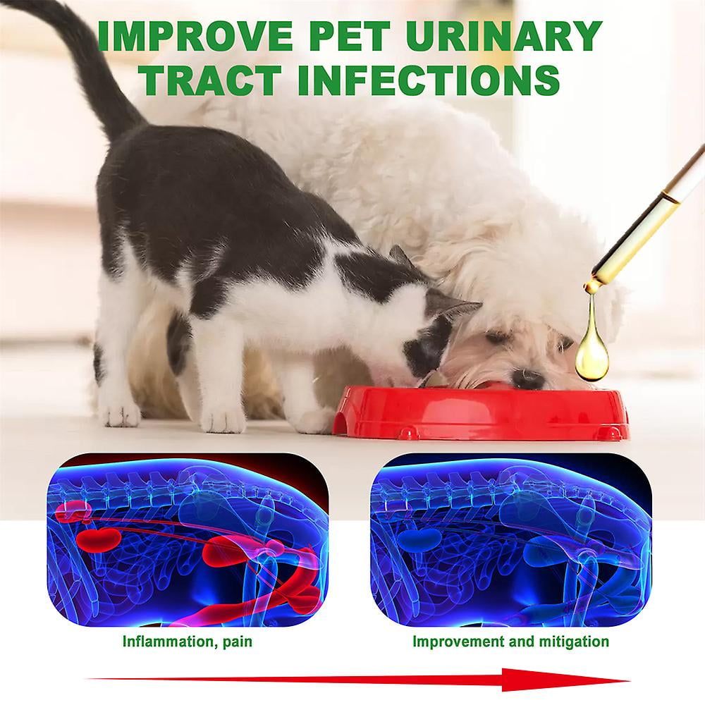 Dog Urinary Tract Infection Symptoms UTI Free™ | Natural Pet UTI