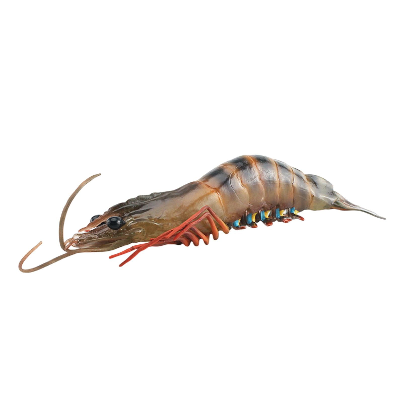 LIWEN Shrimp Statue Model - Realistic Penaeus-monodon Tiger Shrimp ...