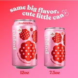 poppi Raspberry Rose 7.5oz Mini Can - Walmart.com