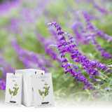 MYARO 12Pcs Sage Scented Sachets for Drawer and Closet Long-Lasting ...