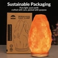 WBM Hand-Carved Himalayan Salt Lamp with Touch Dimmer Control, Wooden ...